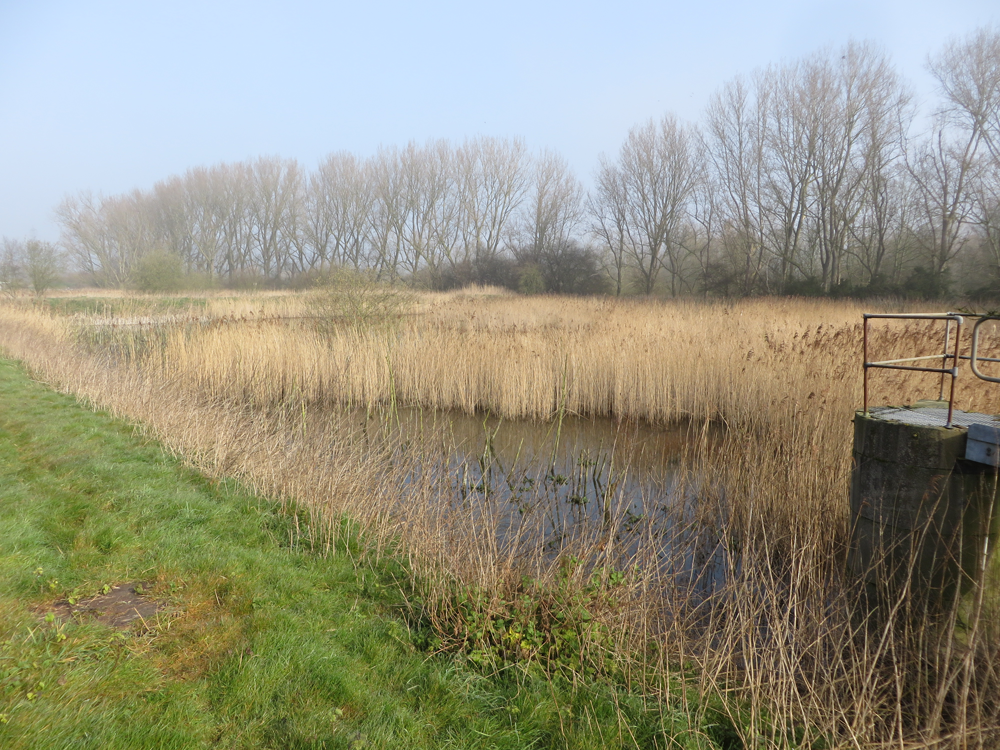 The site • Rye Meads Ringing Group